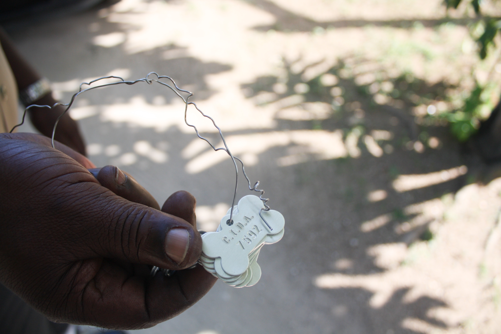 RCIPS & DOA Conduct Dog Walk Through in George Town, 27 February ...