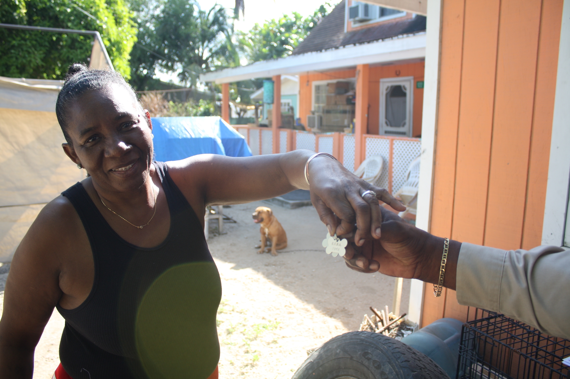 RCIPS & DOA Conduct Dog Walk Through in George Town, 27 February ...